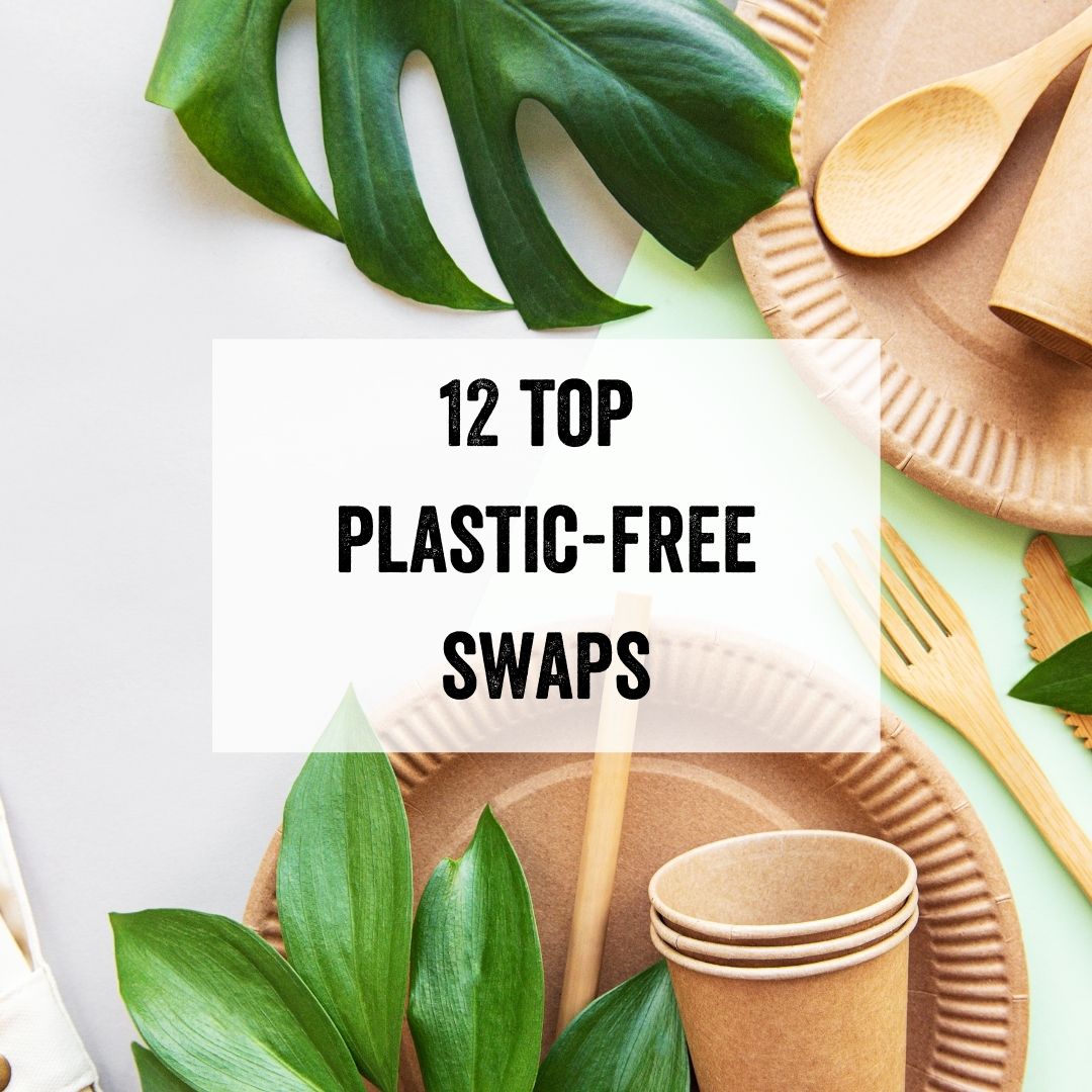 Plastic-Free - 12 Top Swaps – Ethical Nutrition